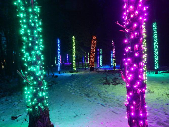 Wild Center’s ‘Wild Lights’ continues through February | Kidscontent ...