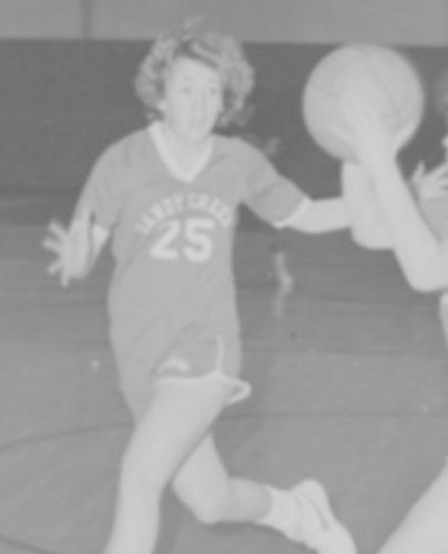 High school sports: Terri Haynes, 1984 Sandy Creek grad, still making ...