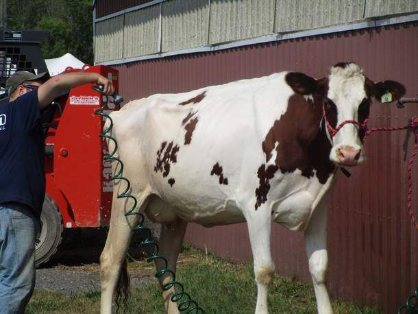 Oswego County Fair opens in August | News | nny360.com