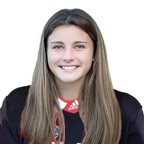 High school hockey: Potsdam’s Emerson commits to resuming career at ...
