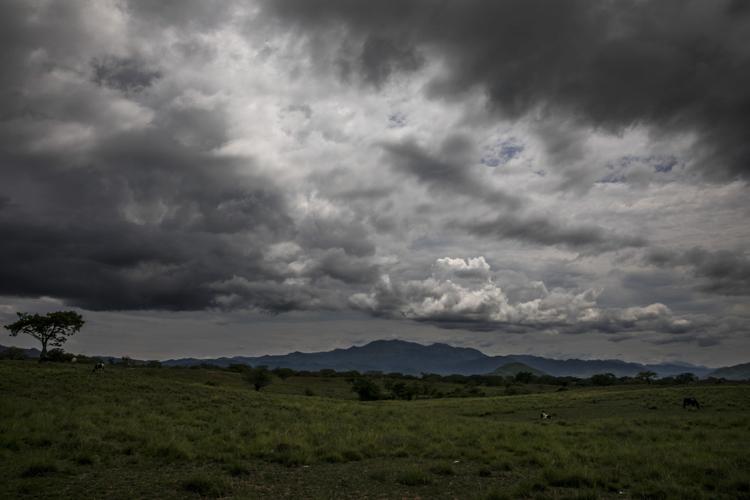 Every year, sky ‘rains fish’ in Yoro | News | nny360.com