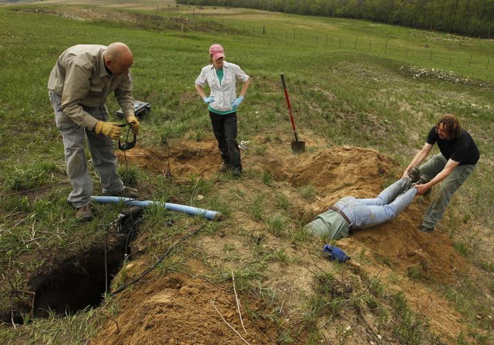 Coyotes braving the urban jungle | News | nny360.com