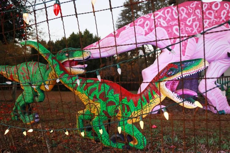 Dinosaurs and Christmas a perfect pair for lights display | Kidscontent ...