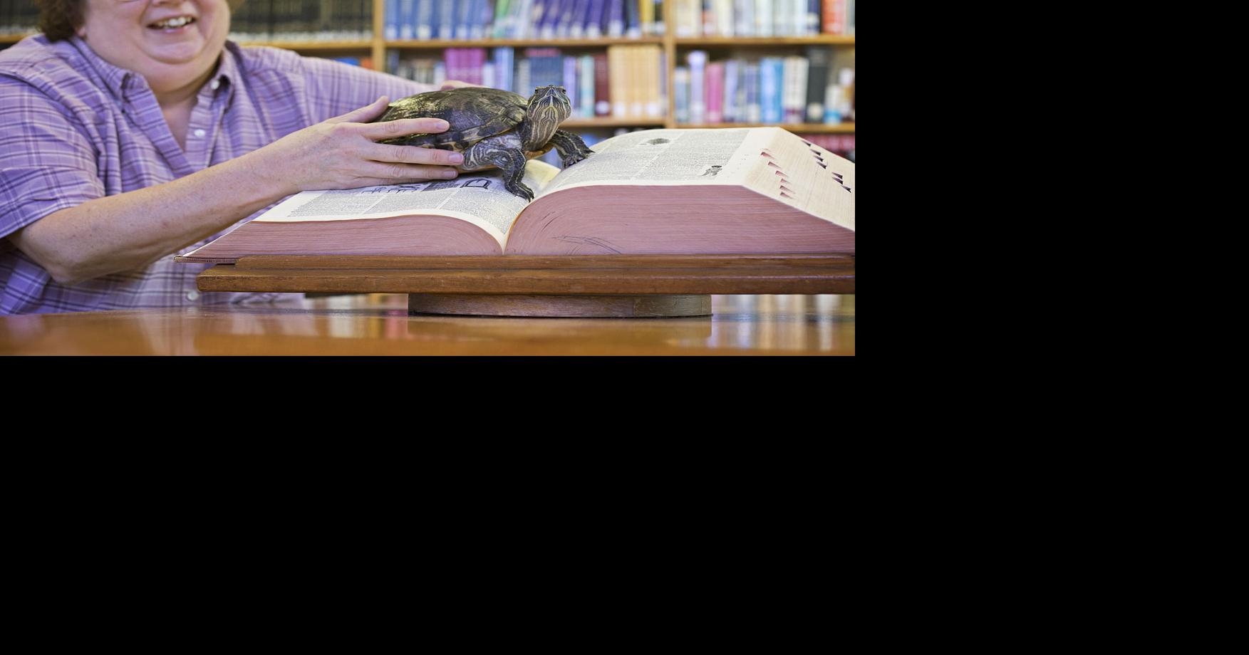 Sophie The Turtle A Success Story At Ogdensburg Library | News | nny360.com