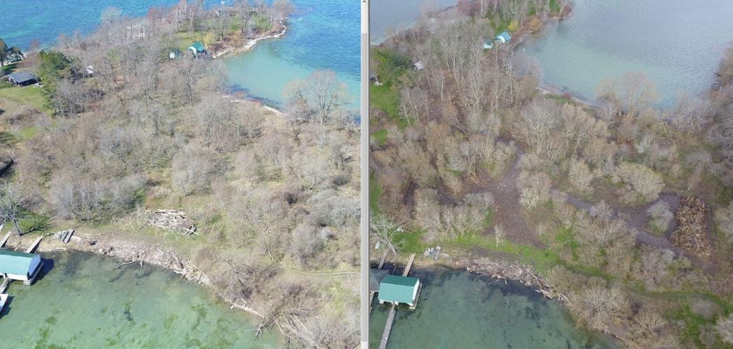 TILT ‘discouraged’ after seeing land clearing on Carleton Island ...