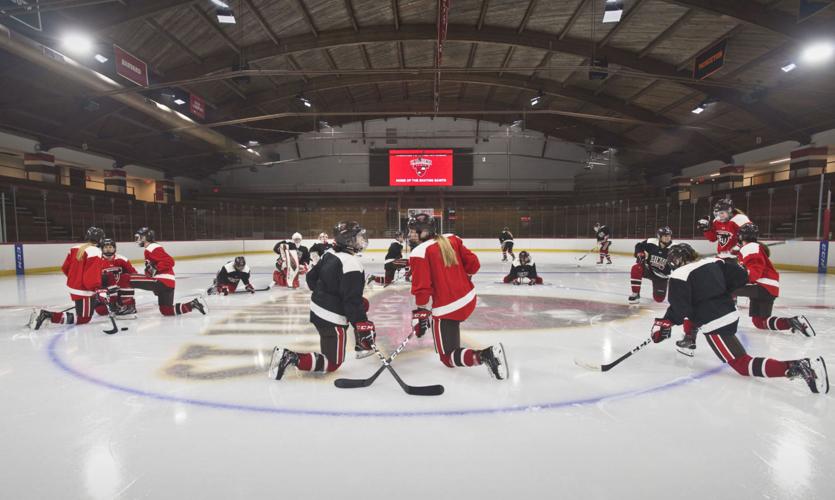 College hockey: Curtain goes up this weekend on renovated Appleton ...