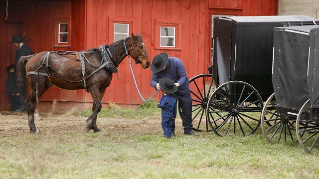 Faith, Food & Fellowship: A rare glimpse of Amish life in the north ...