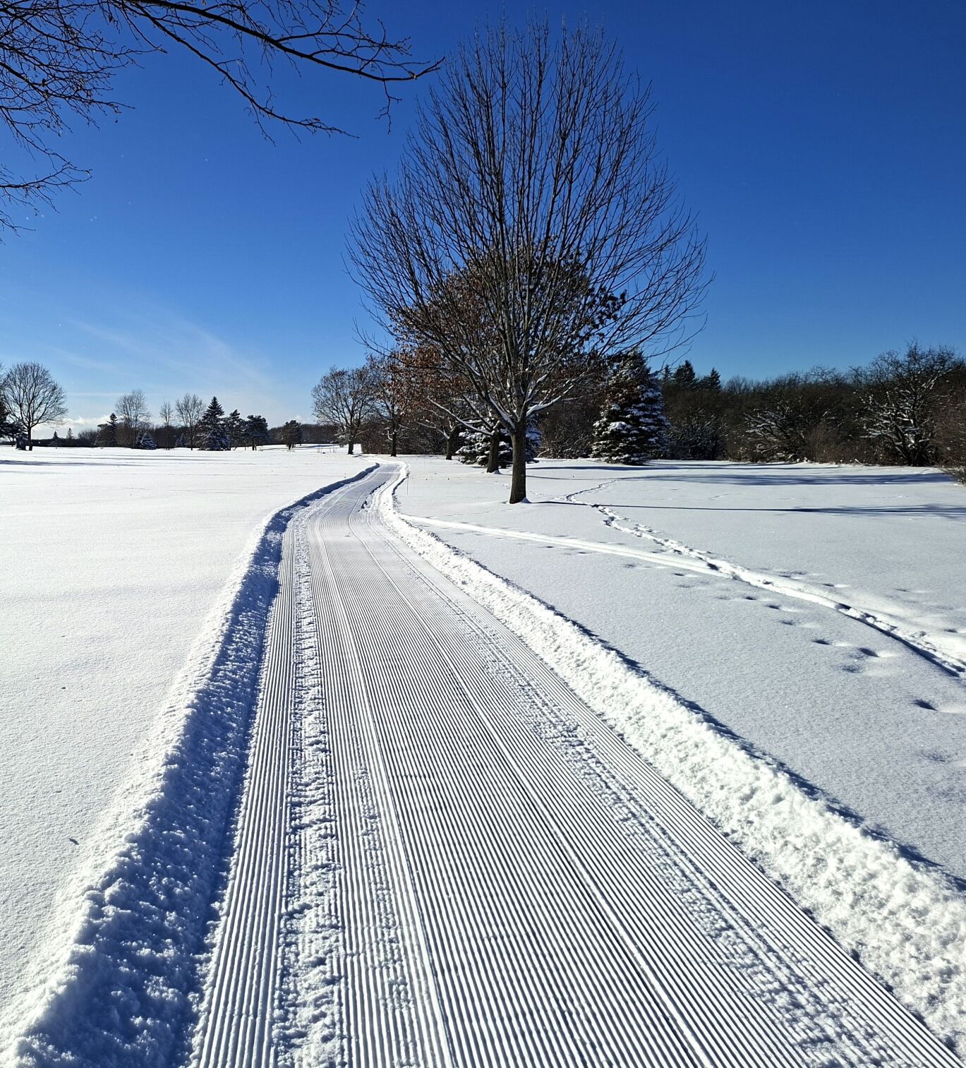 New Watertown City Council to mull old subject: The Thompson Park Golf ...