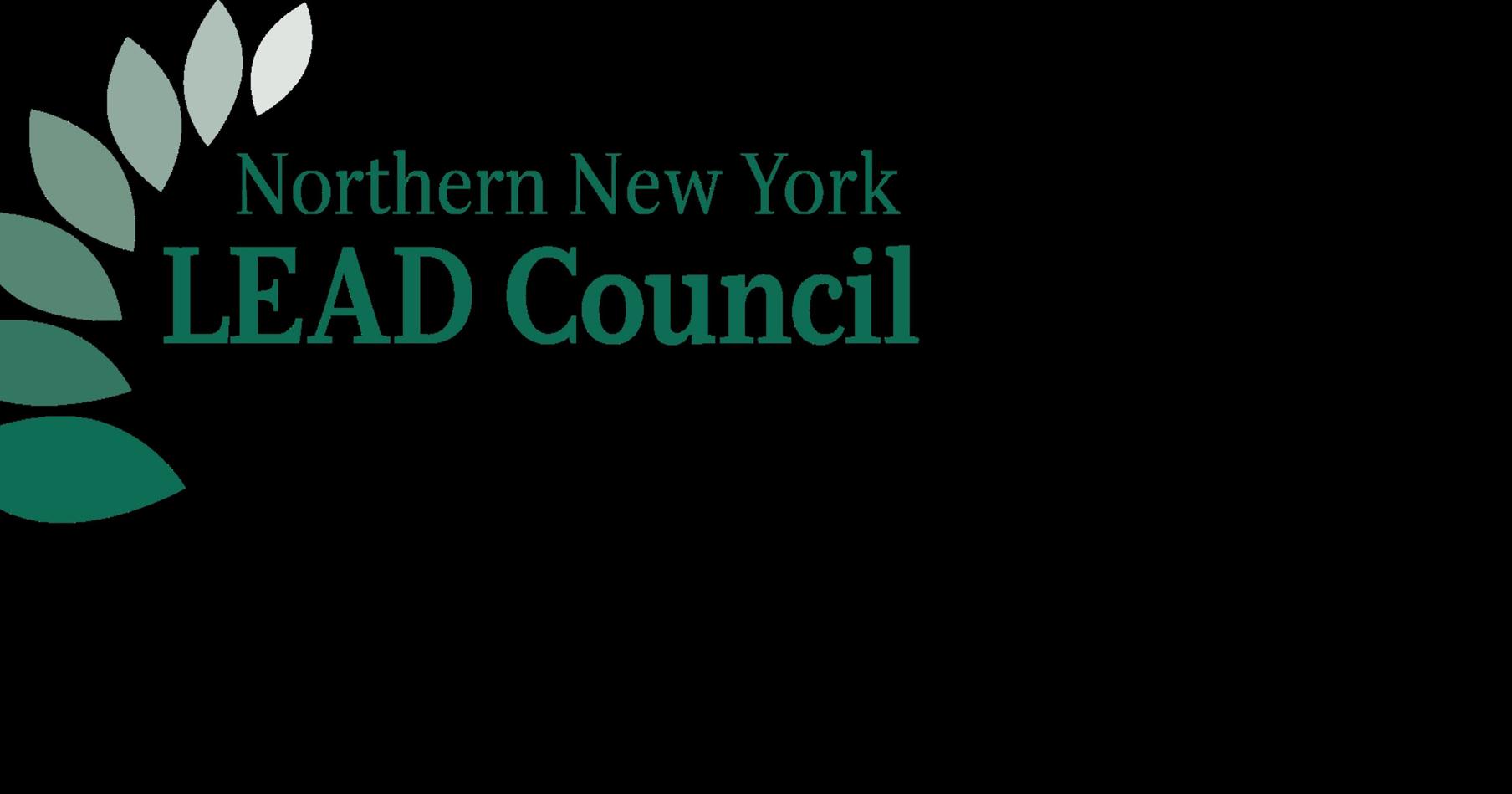 Community Foundation LEAD Council awards $20,000 in Impact Grants | St ...