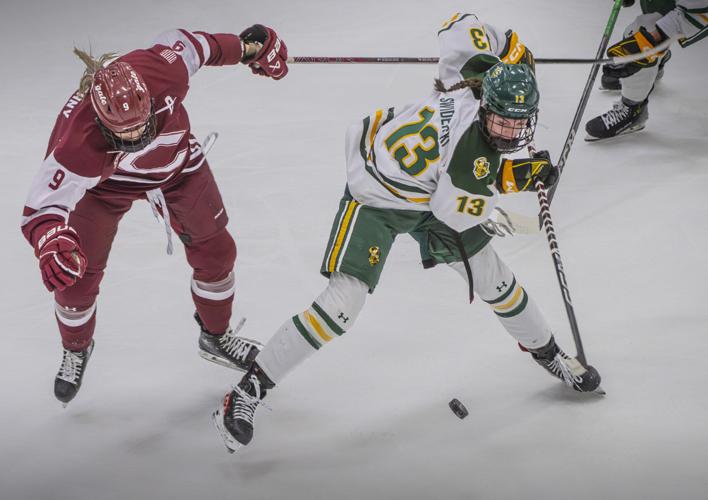 College roundup: Clarkson, St. Lawrence gain big home women’s hockey ...