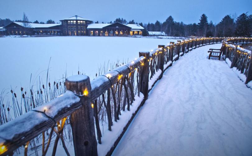‘Wild Lights’ display returns Nov. 24 | Kidscontent | nny360.com