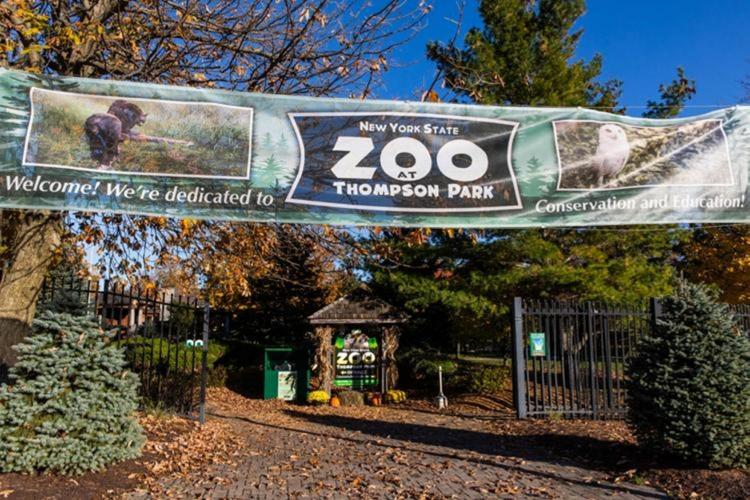 Thompson Park Zoo director to ask Watertown council members directly ...