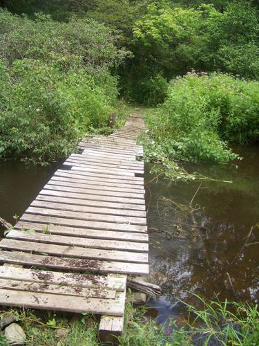 Steven Mahan’s Eagle Scout Project benefits the Mexico community | News ...