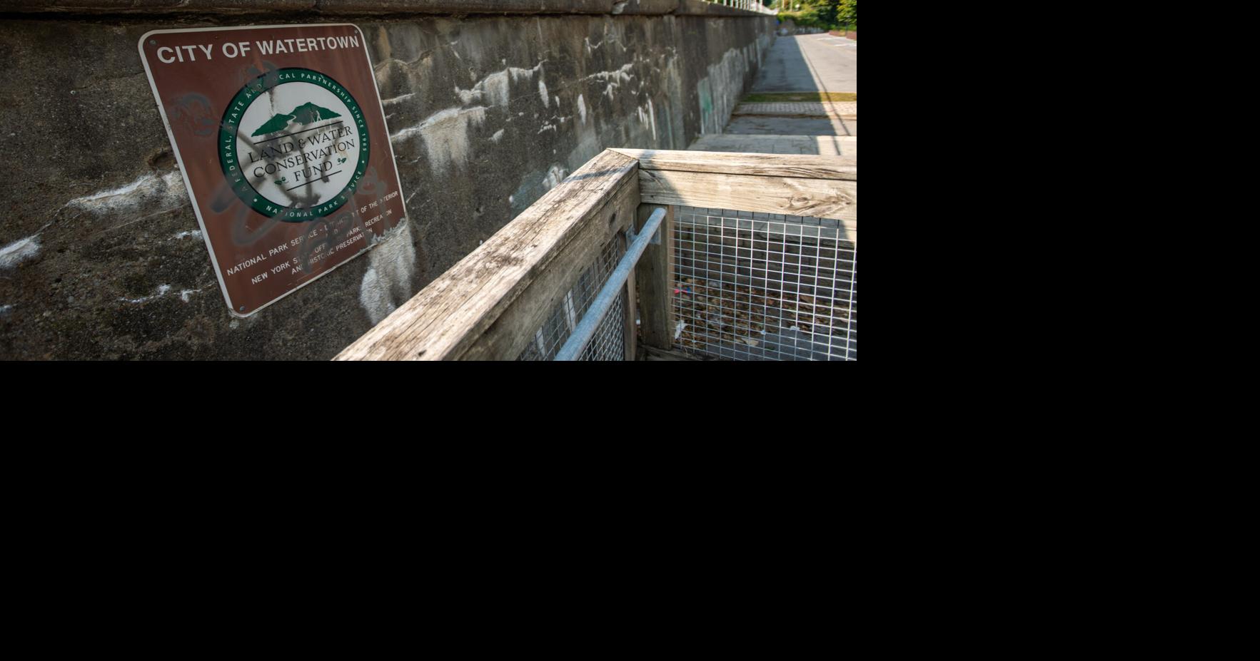 Watertown arts groups hoping to start riverwalk mural project this ...