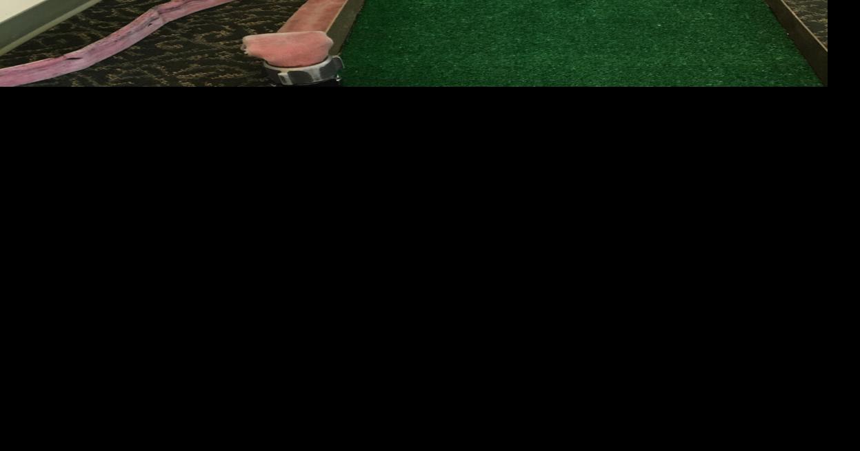 Mini golf returns to the library | Arts and Entertainment | nny360.com