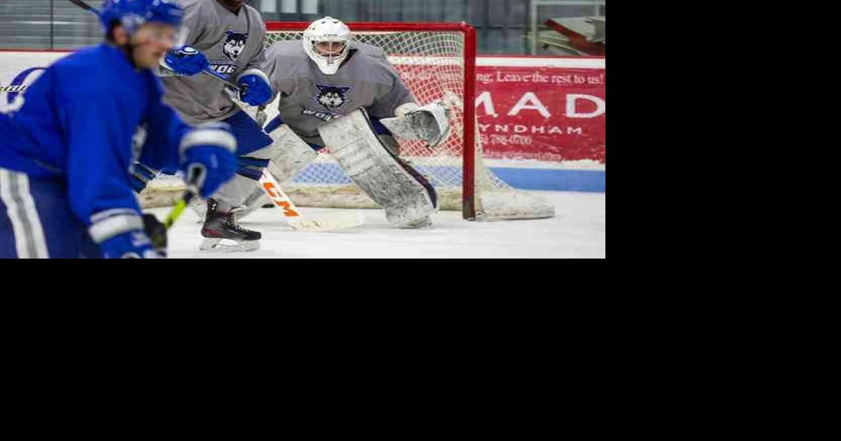 Local pro hockey: FPHL targeting Feb. 3 as start date for season ...