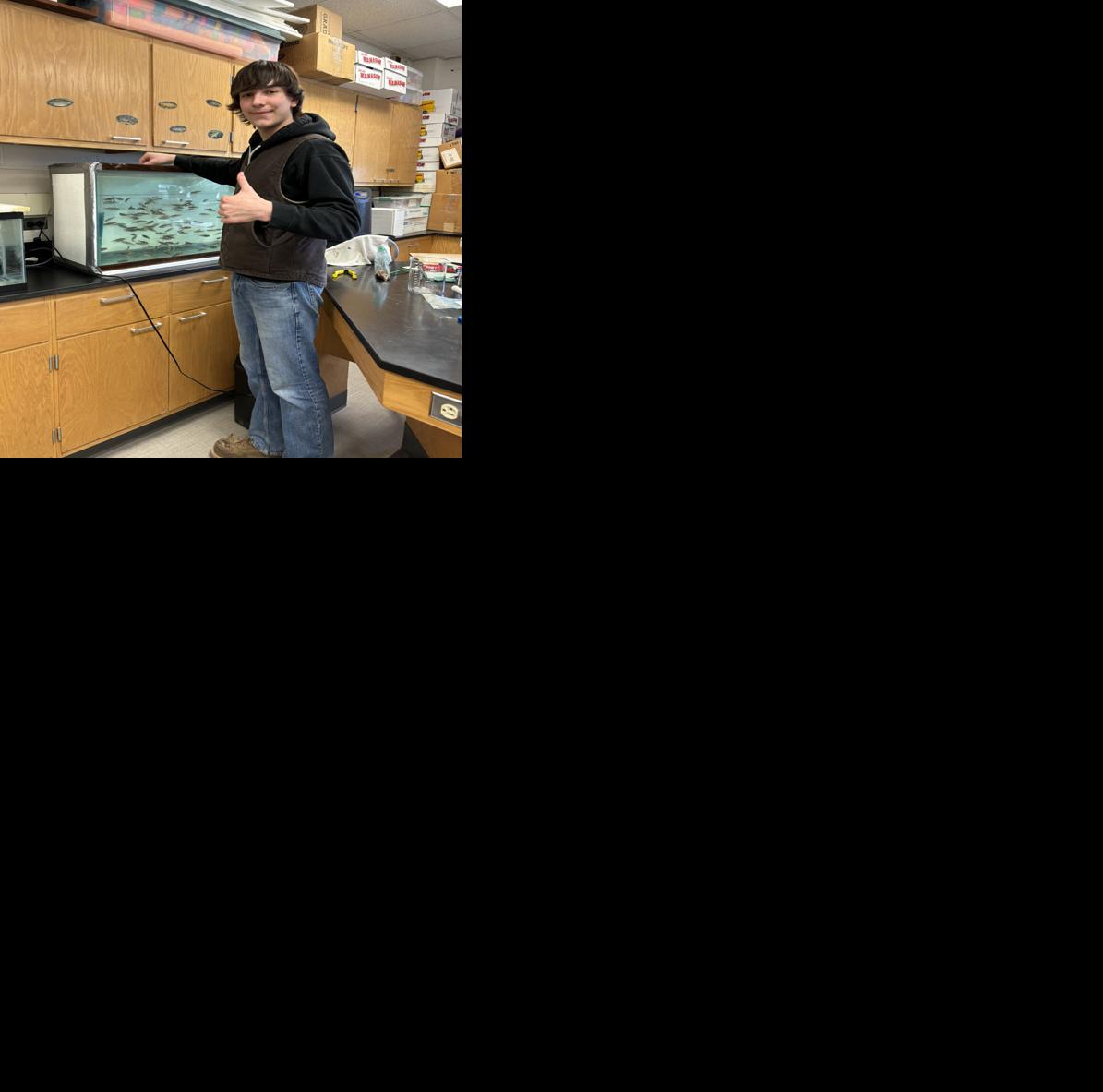 Trout in the Classroom at Carthage Central: Schools of fish at school ...