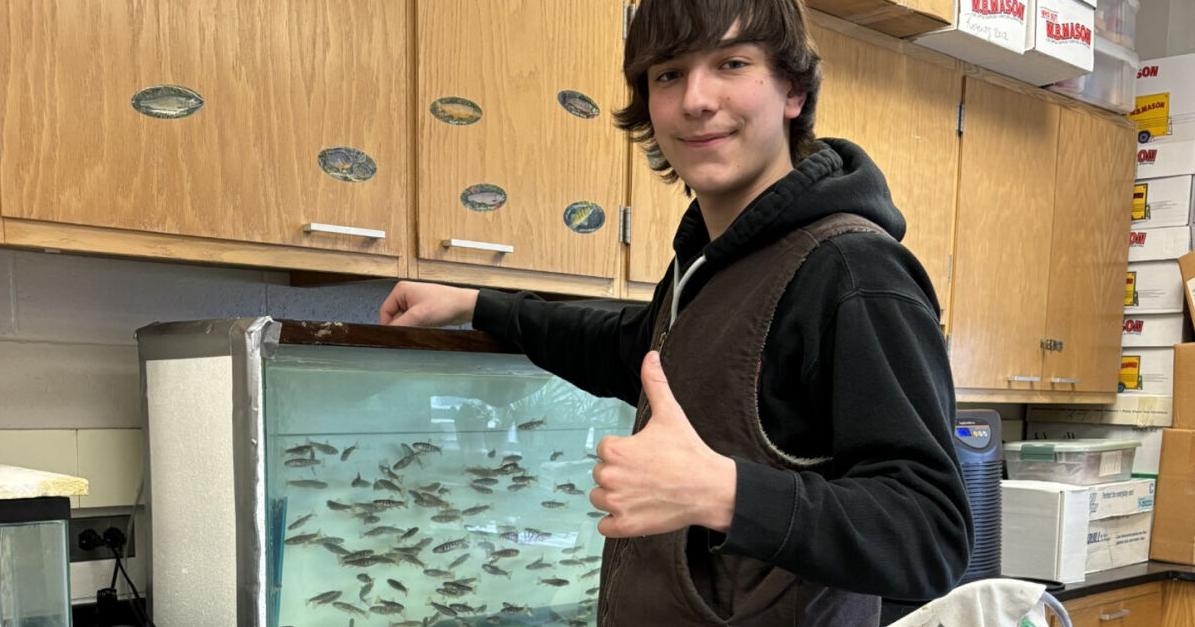 Trout in the Classroom at Carthage Central: Schools of fish at school ...