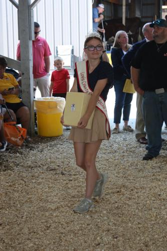 “Saddle Up” — Lewis County Fair rodeo was sold out | Lewis County News ...