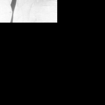 Mr. & Mrs. Robert Bachar -- 50 years | Arts and Life | nny360.com