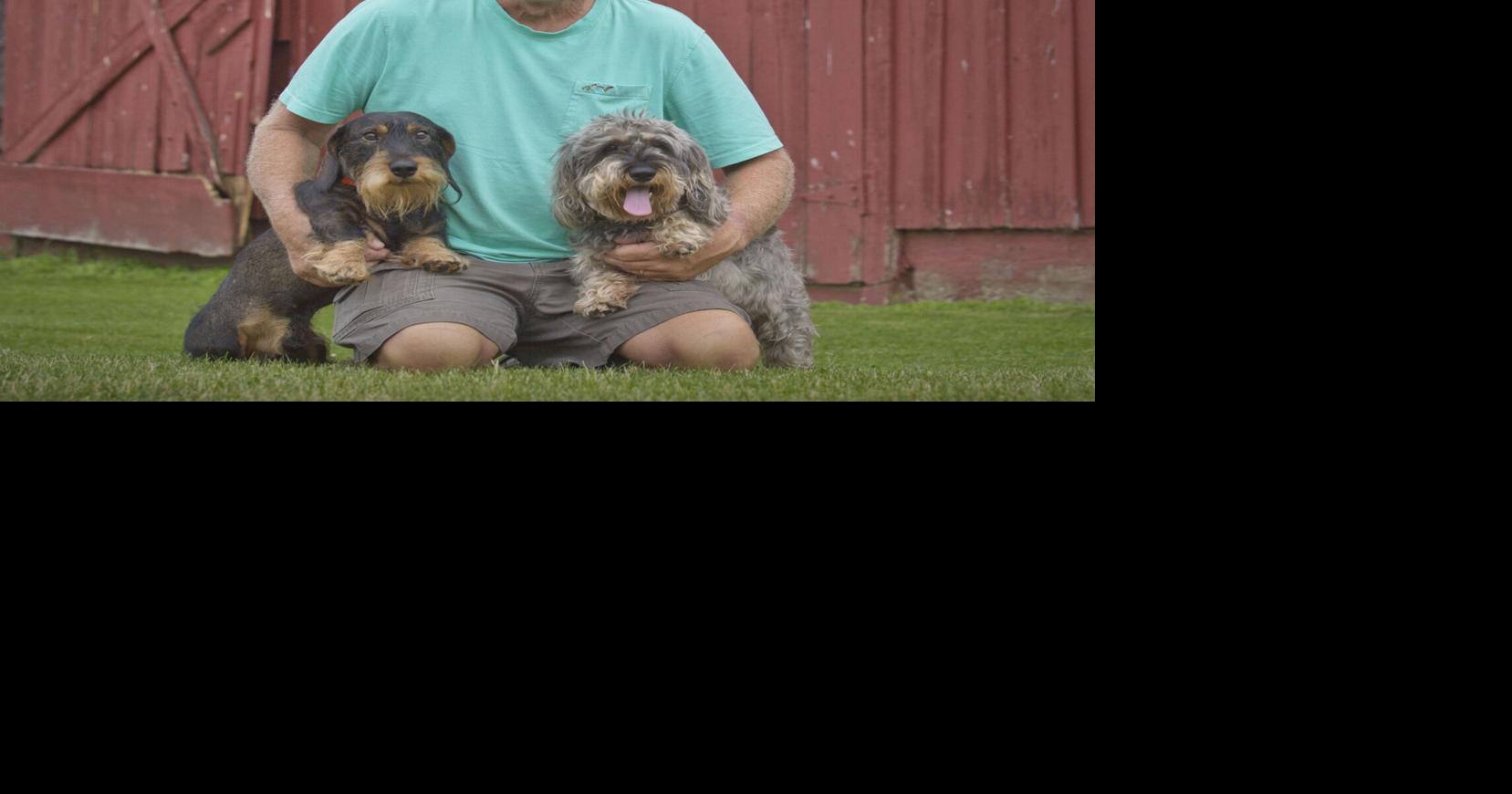 Blood tracking dogs help hunters find lost game | Recreational Sports ...