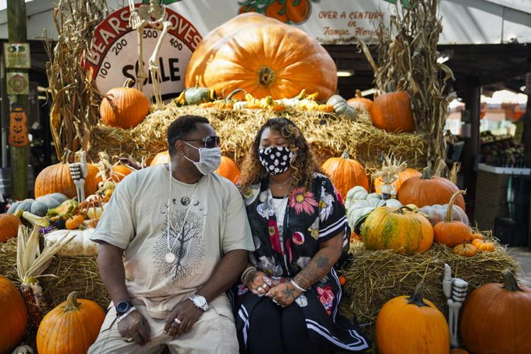Gourd almighty!: Florida’s pumpkin king again squashes the competition | Home and Garden ...