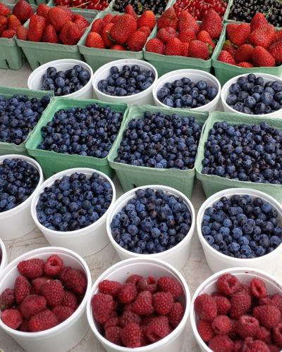 Small fruits for small farms: An introduction to best practices for ...