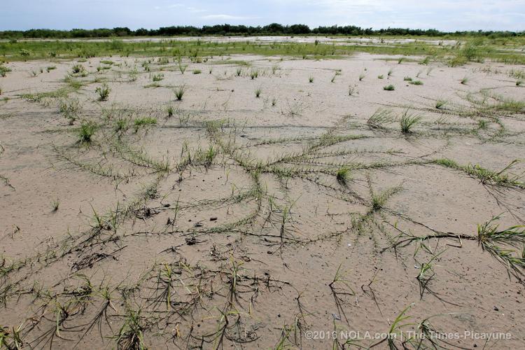 $80 million Shell Island restoration nears completion | Environment ...
