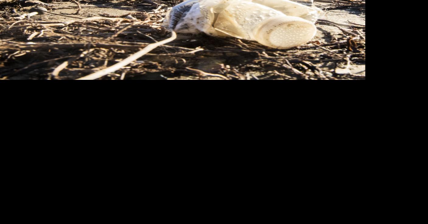 How polluted with plastic is the Mississippi River? Residents can help ...