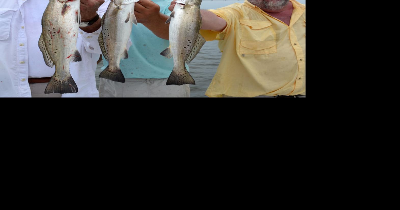 Louisiana to explore altering recreational limits on speckled trout ...