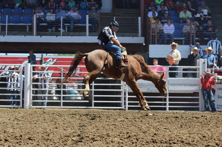 Angola Prison Rodeo, Treme Culture Fest, Satsuma Celebration and more ...