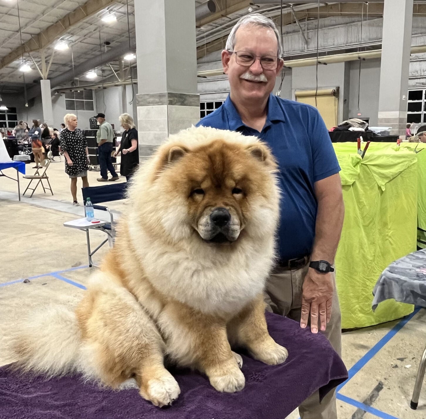 asc Cluster Dog Show #03.jpg | | nola.com