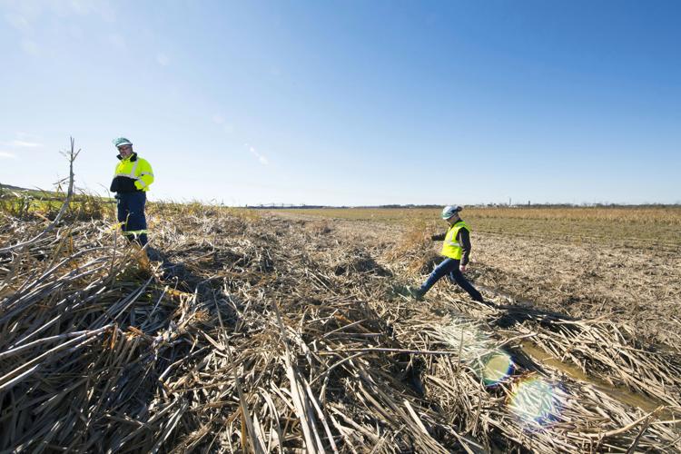 What is gypsum? What you should know about this giant wall, its ...