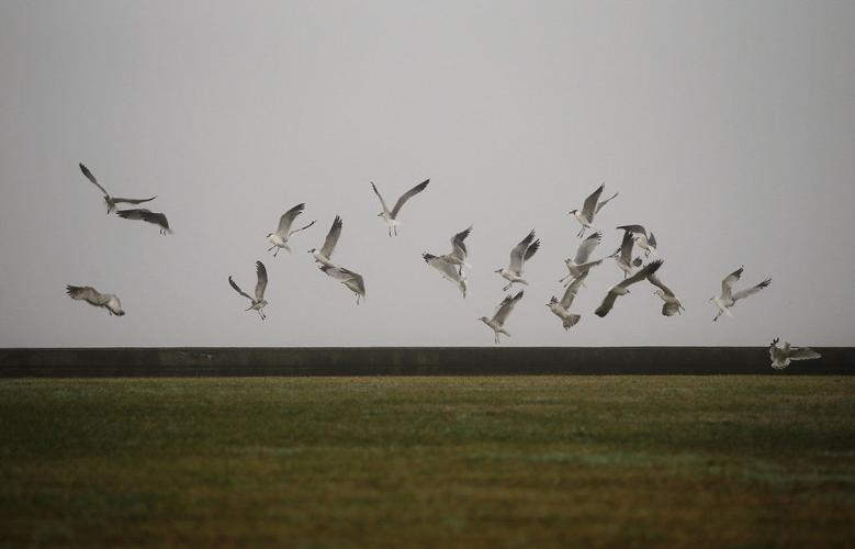 Fog restrictions in effect on Lake Pontchartrain Causeway | Traffic ...