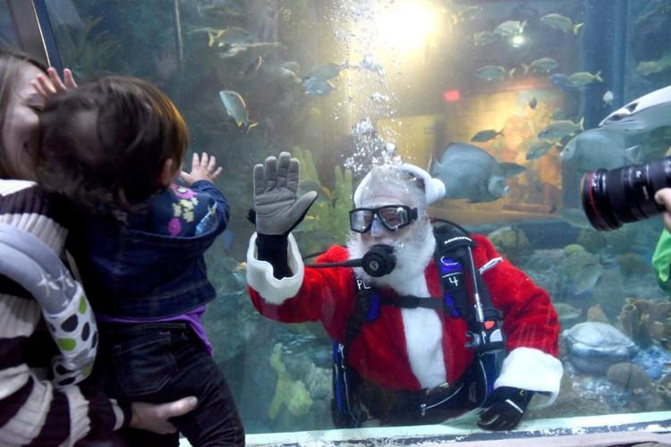 Santa and elves are scuba diving at the Audubon Aquarium. Here are ...