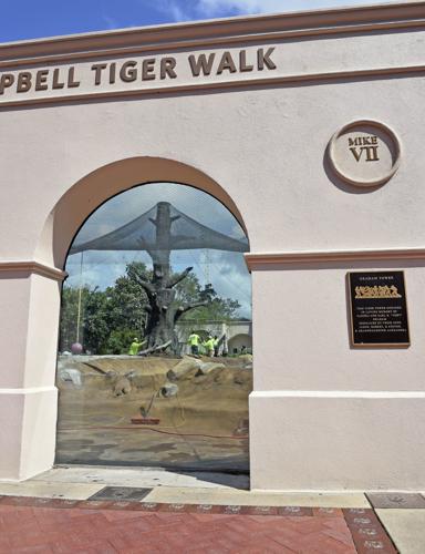 LSU's prospective new Mike VII is on campus, school says | Archive ...