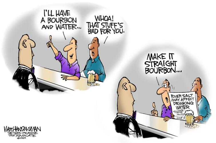 2023 Walt Handelsman Local Cartoons | Walt Handelsman | nola.com