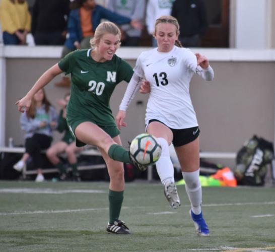 Girls soccer: Lakeshore, Newman pick up takeaways in 1-1 draw | Prep ...