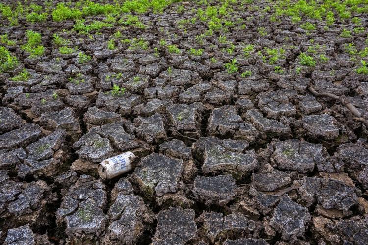 Atchafalaya Basin water level hit historic lows last month | Business ...