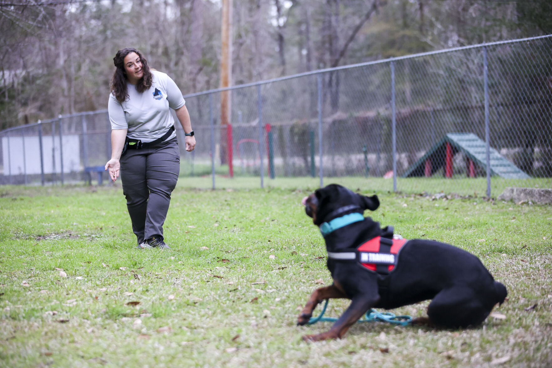 Guest column: The best PTSD treatment you've never heard of | Guest ...