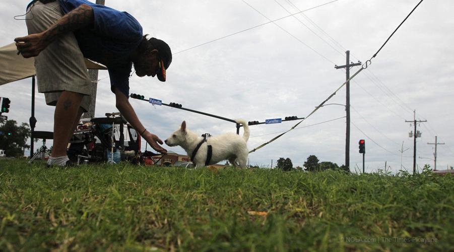 Homeless drummer marches to his own beat -- and he's happy | Archive ...