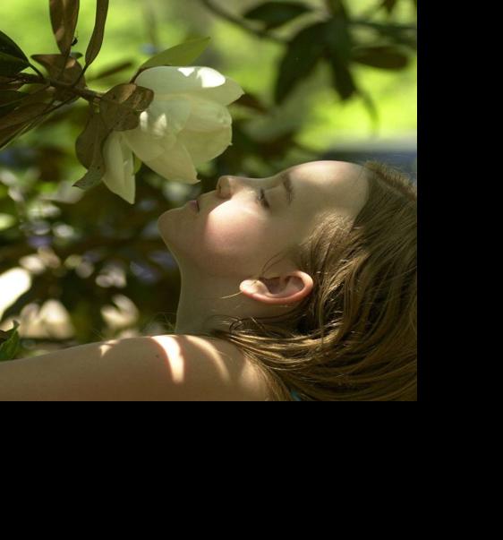 Magnolia flowers may be more plentiful as tree ages | Home/Garden ...