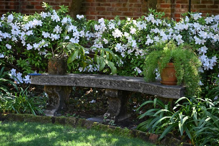 Welcome to an azalea-filled garden in Uptown New Orleans ...
