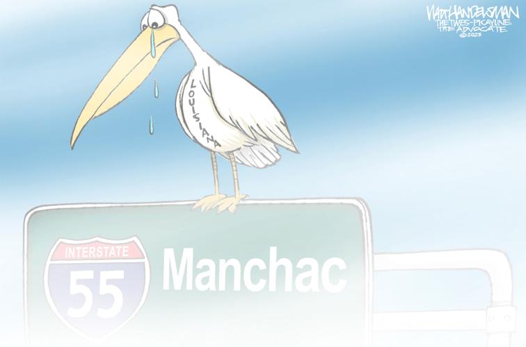 2023 Walt Handelsman Local Cartoons | Walt Handelsman | nola.com