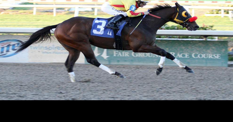 Le propriétaire de l'hippodrome Fair Grounds peut interdire l ...