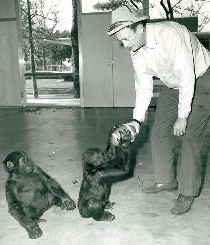 Remembering Rodney Fertel's 'gorilla' campaign for New Orleans mayor ...