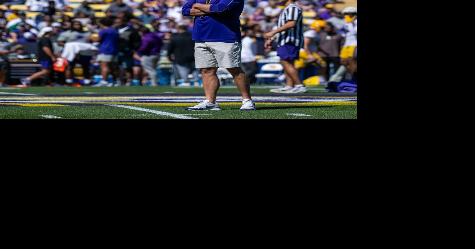LSU football picks up commitment from DeAnthony Lafayette | LSU | nola.com