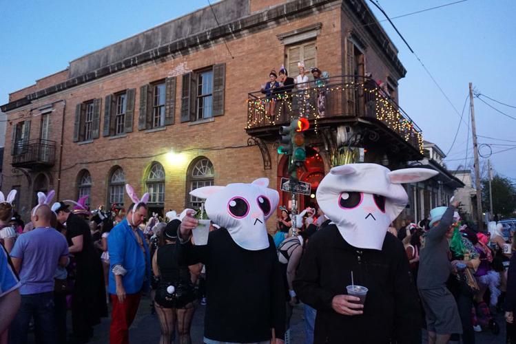 Bunarchy 2018: See great wildlife pictures from the pre-Easter bar ...