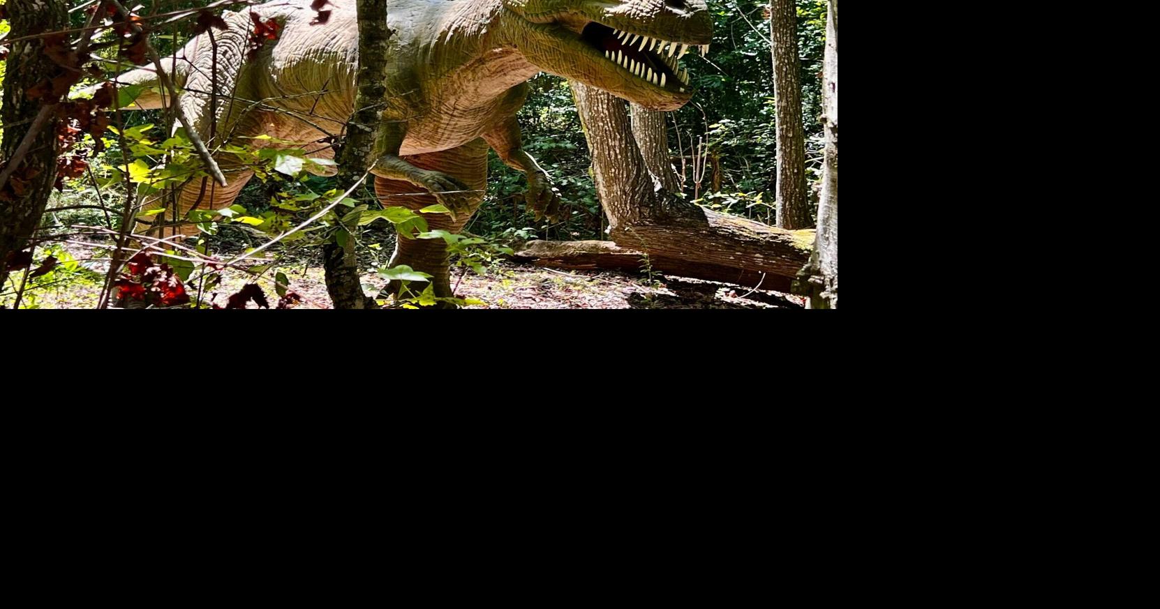 Photos, videos: An adventure among the dinosaurs of Prehistoric Park in ...