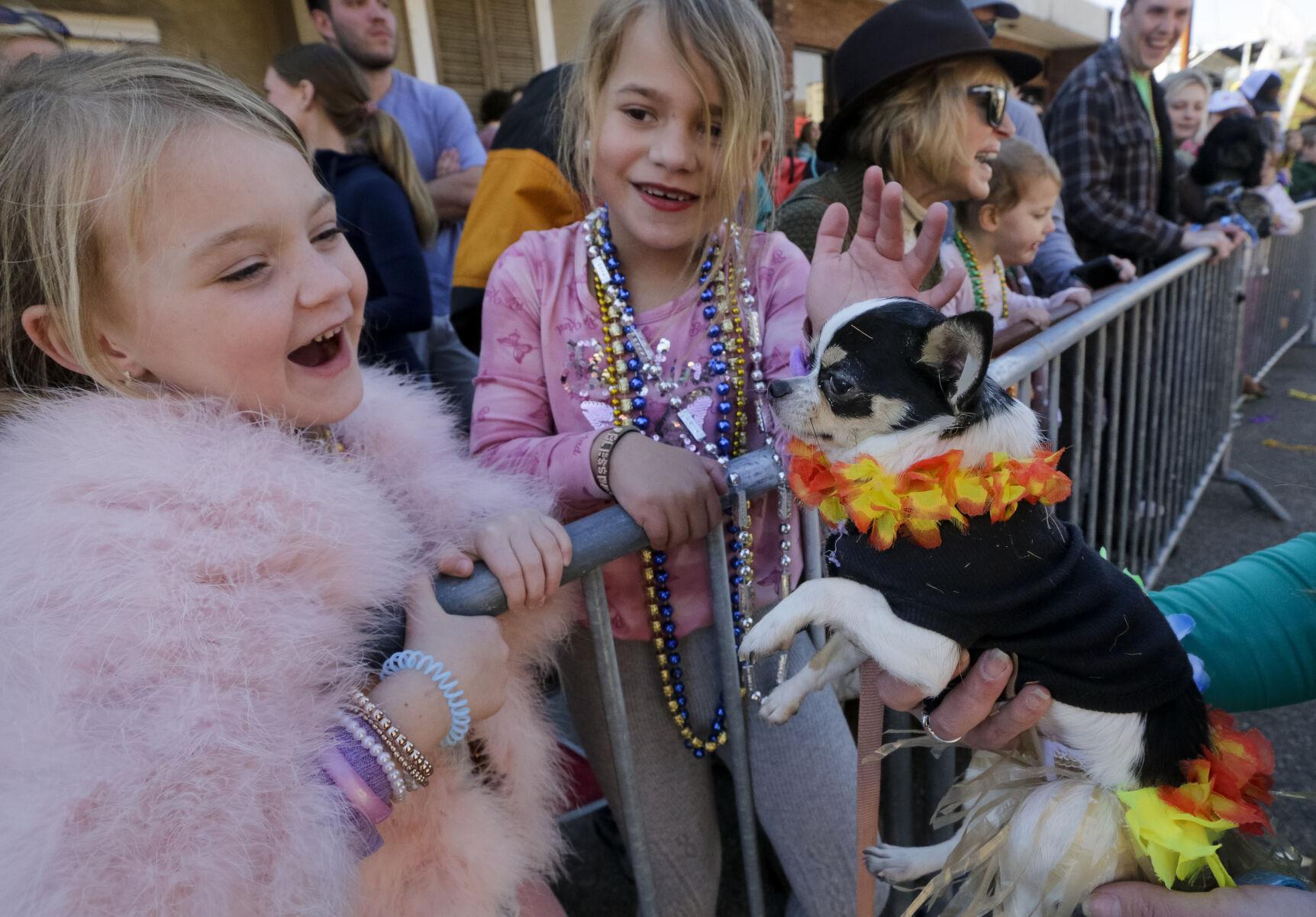 Photos: Mardi Paws howls to 'Bark 'n' Roll' during 30th parade in ...